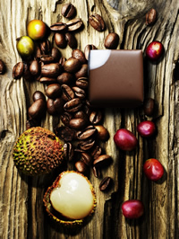 UNDERGROUND CHOCOLATE AWARD アンダーグラウンド チョコレート アワード | 世界のカカオと個性ある素材の出会いに ...